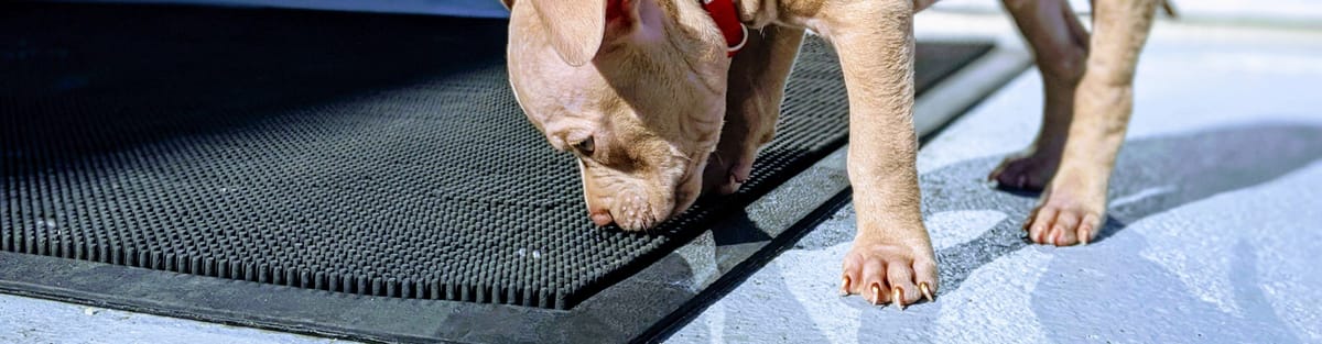 Sniffing traffic on a pod in Kubernetes/OpenShift